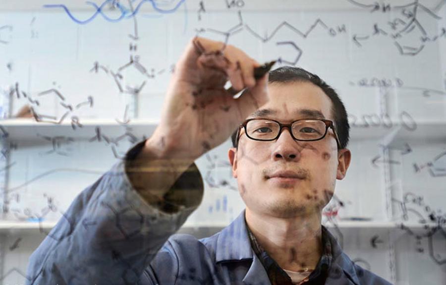 Academics | Department of Chemistry and Chemical Biology